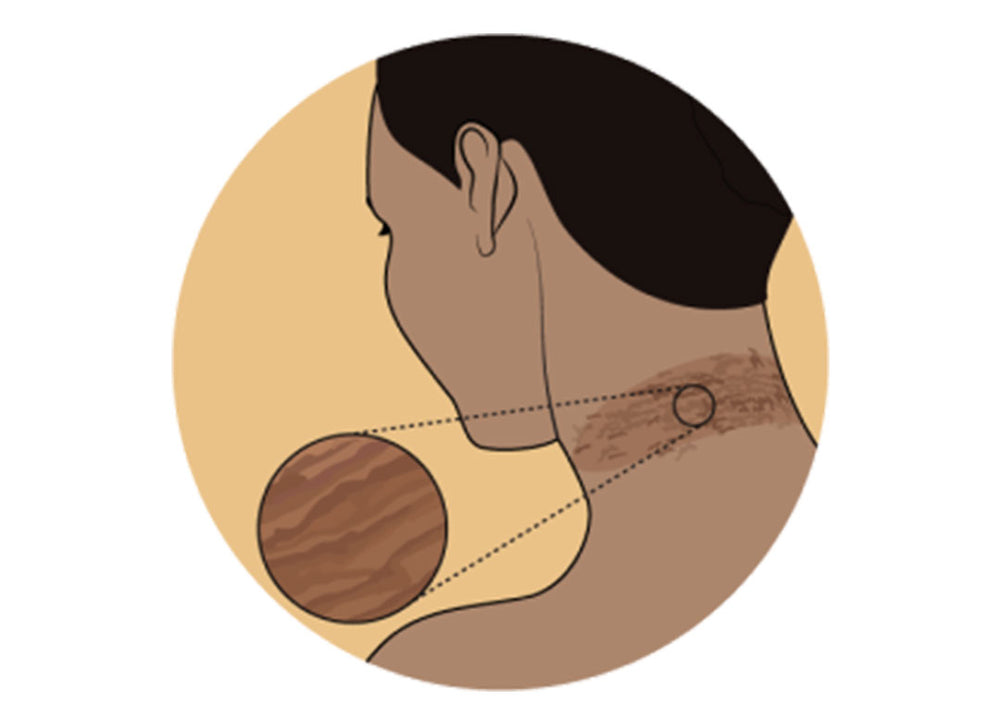Regimen Guide – Pretty Biznez